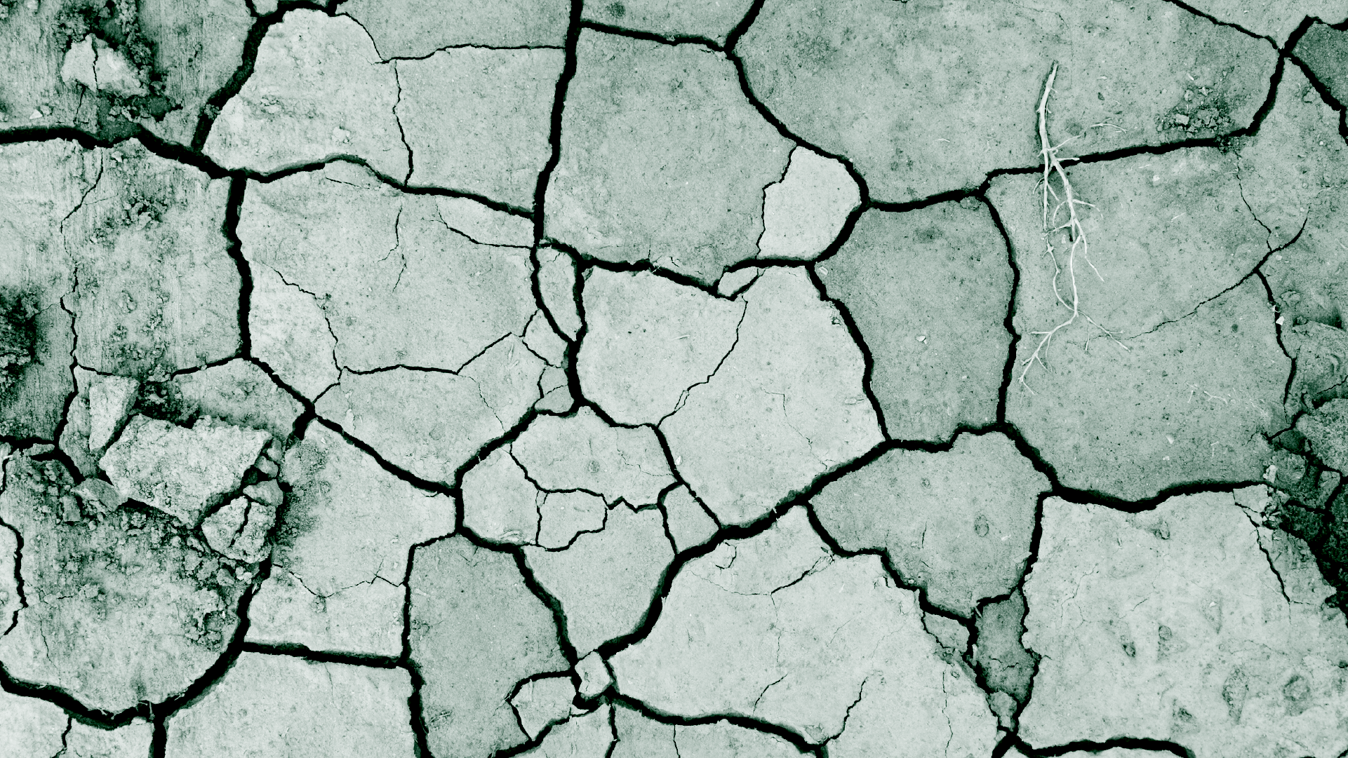 Alessio Terzi: We are prepared for the growing climate risk, but that does not mean that we can ...